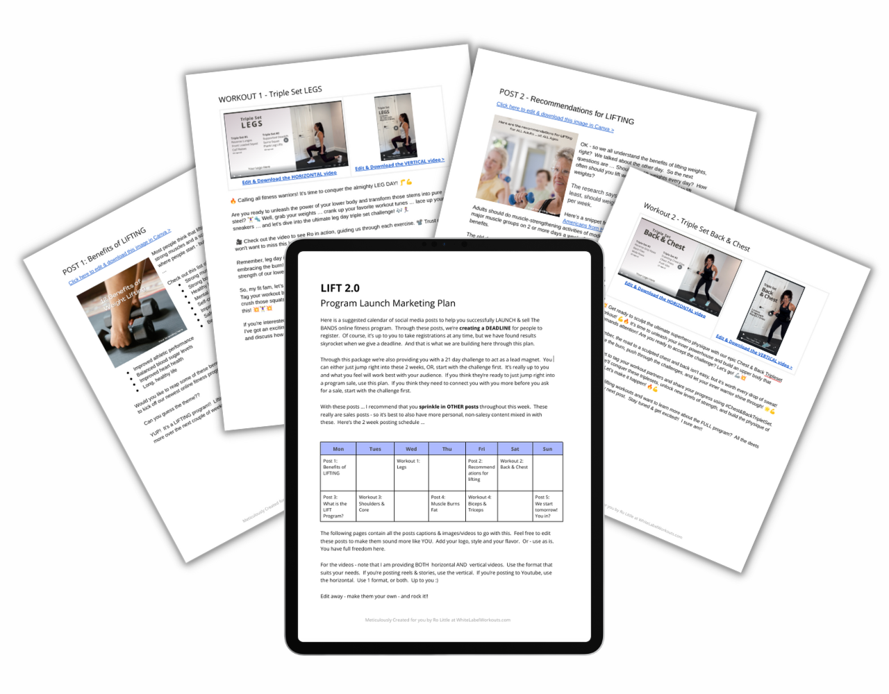 White Label LIFT Workout Program + Upper Strength Challenge BUNDLE | White Label Workouts