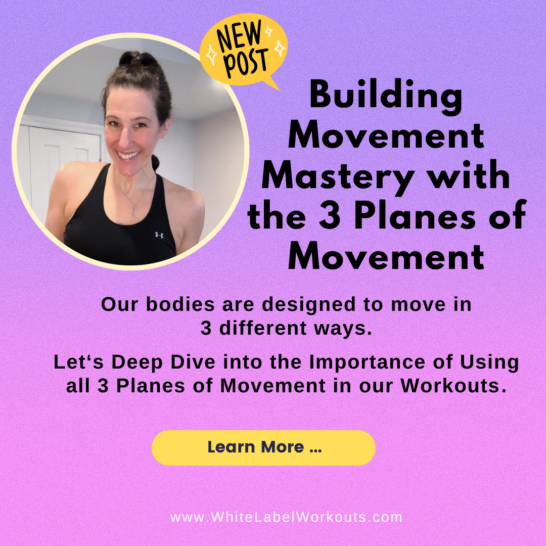 Building Movement Mastery With The 3 Planes Of Movement | White Label ...